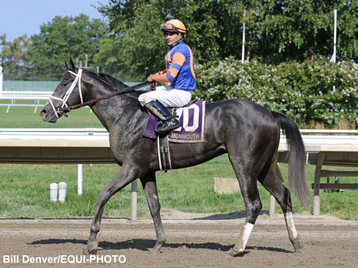 Pulpit Stakes: Pletcher Looking For Breeders' Cup Juvenile Also-Ran ...