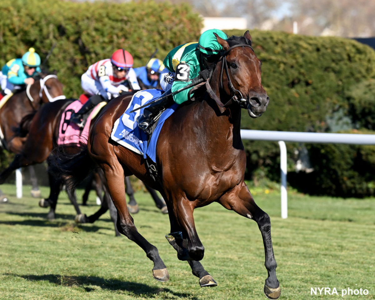 'I Think This Was His Best Race': Integration Stays Perfect With ...