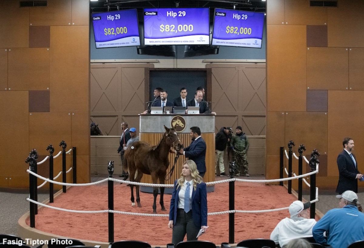Ghostzapper Colt Tops Fasig-Tipton Midlantic December Mixed, Horses of ...