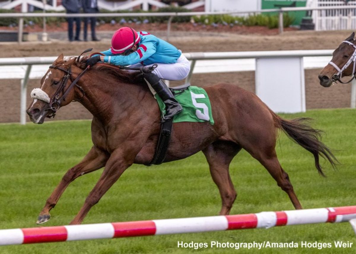 Carimba Notches Breakthrough Stakes Win In Pan Zareta - Paulick Report ...