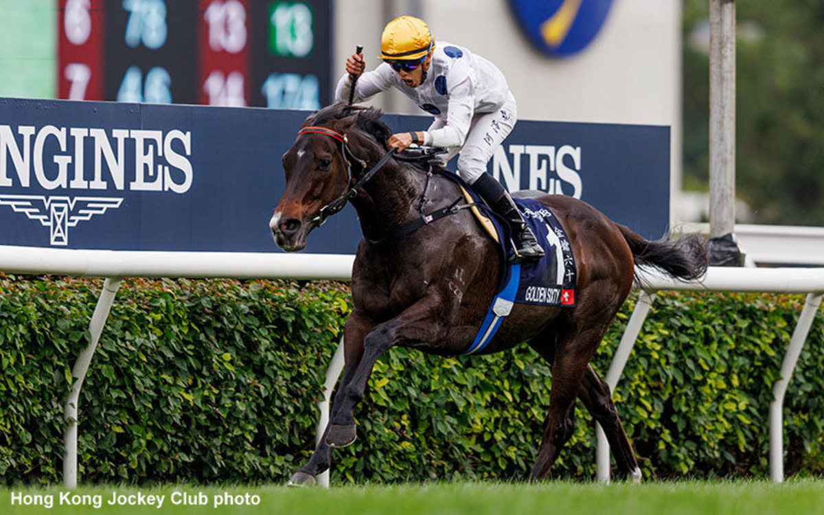 Bloodlines Presented By Walmac Farm: Golden Sixty Has Bucked Several ...