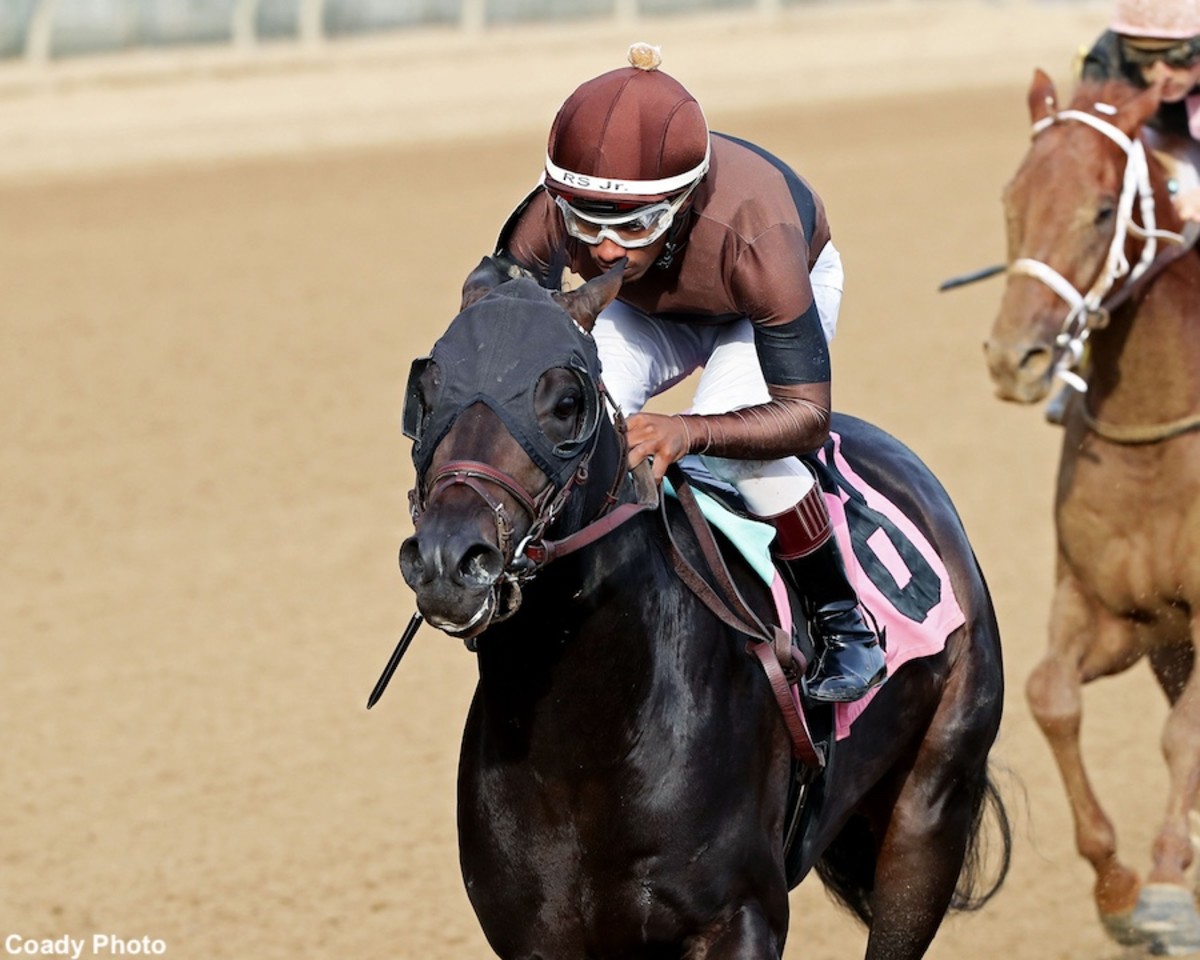 Ten Added To Friday’s Keeneland November Horses Of Racing Age Sale ...