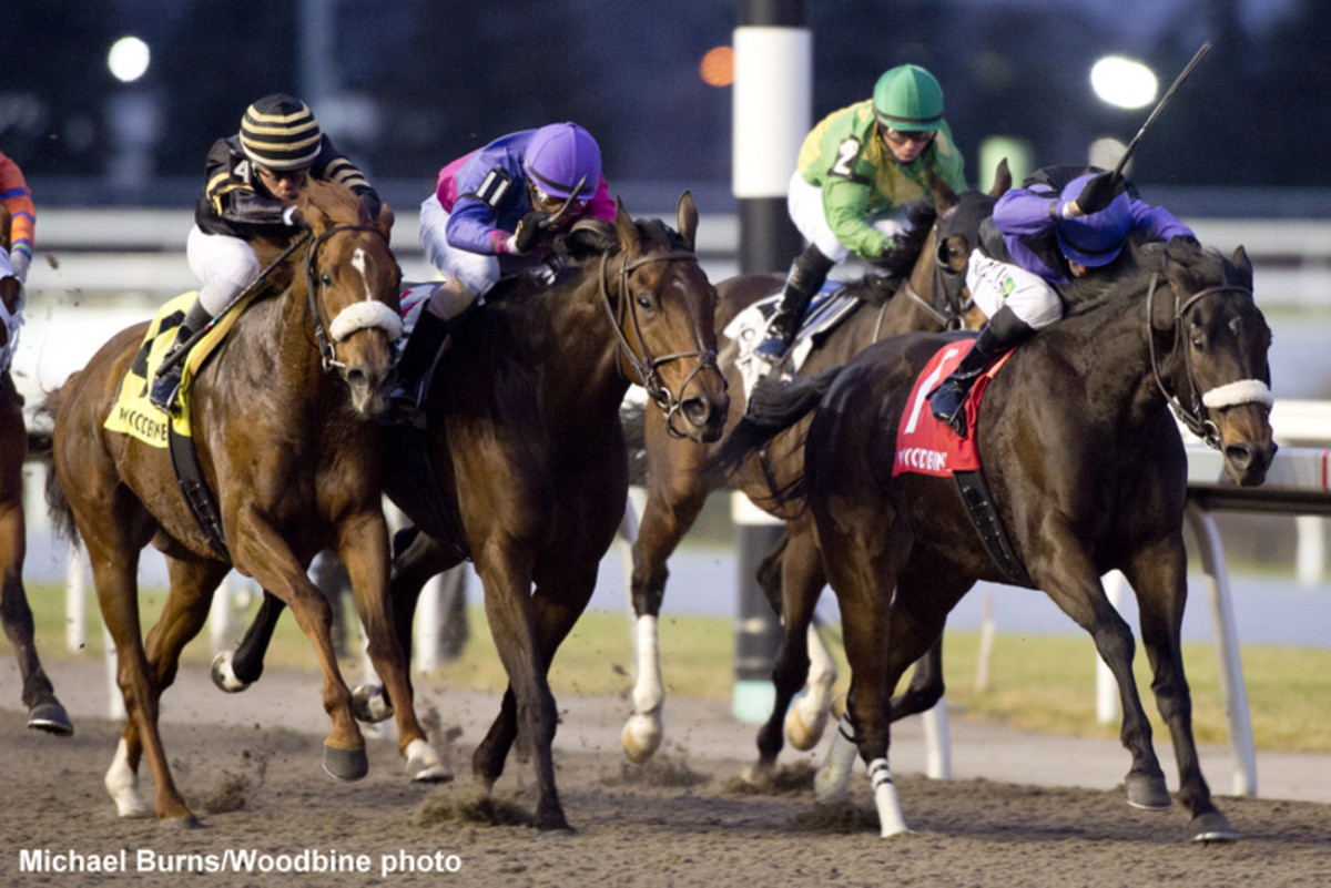 Secret Reserve Hangs On For Steady Growth Win, Halts Winless Skid ...