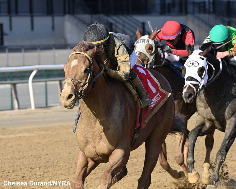 Bold Journey Comes From Last For Fall Highweight Score - Paulick Report ...