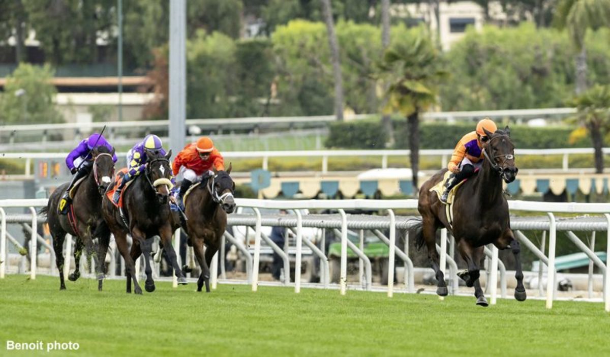 Ruby Nell Makes All For Easy Lady Of Shamrock Score - Paulick Report ...