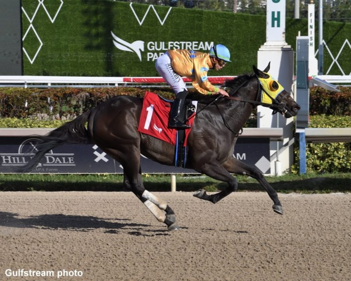 Inveigled To Step On Road To Florida Derby In Gulfstream's Mucho Macho ...