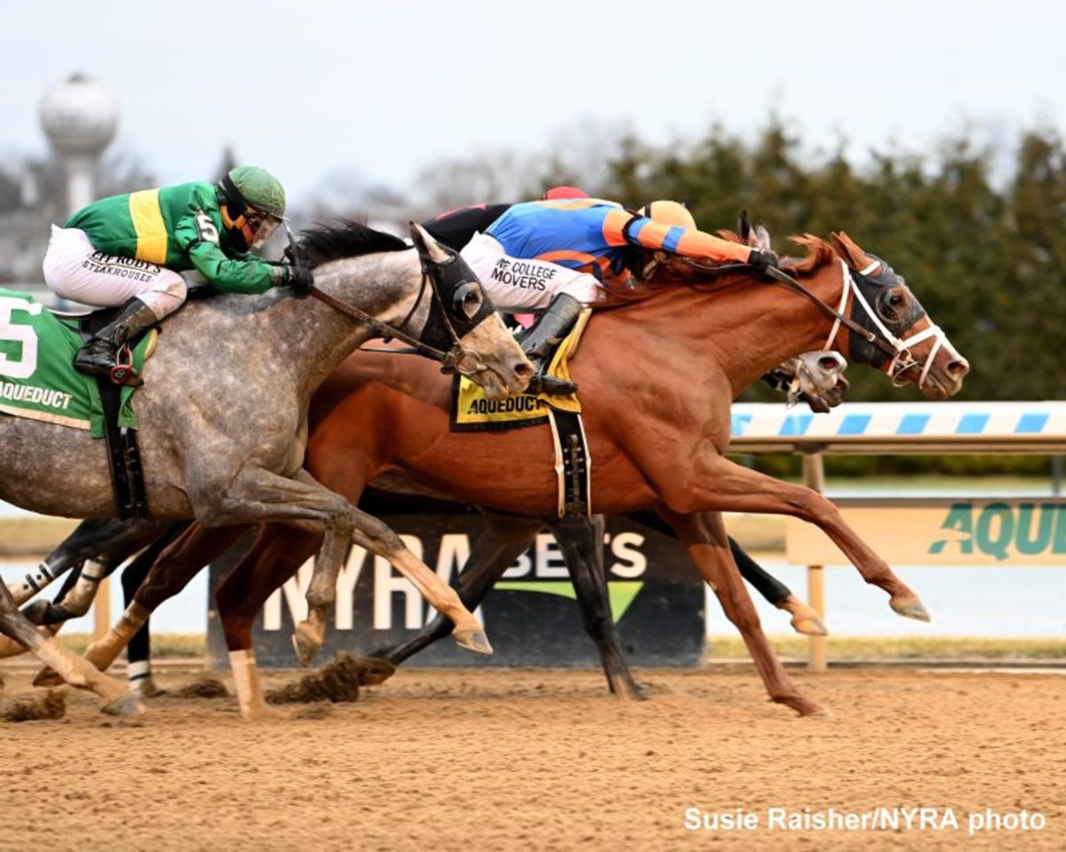 'He's Always Had The Fight In Him': Crupi Prevails In Queens County ...