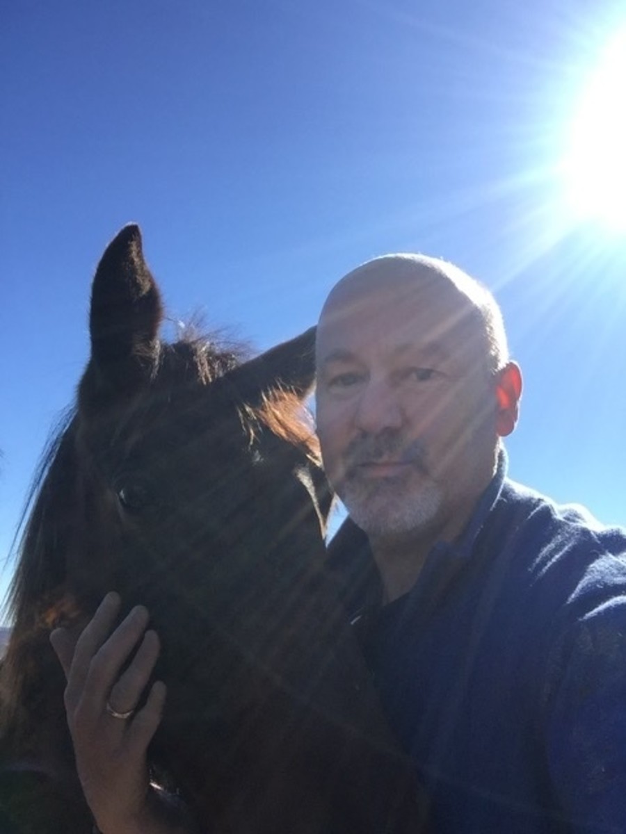 Andrew Cohen, Keith McCalmont Win Harness Writers Media Awards ...