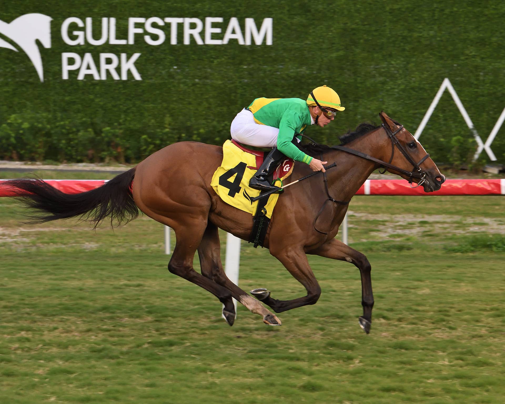 Ozara Takes Inside Route to Ginger Brew Win - Paulick Report | Latest ...