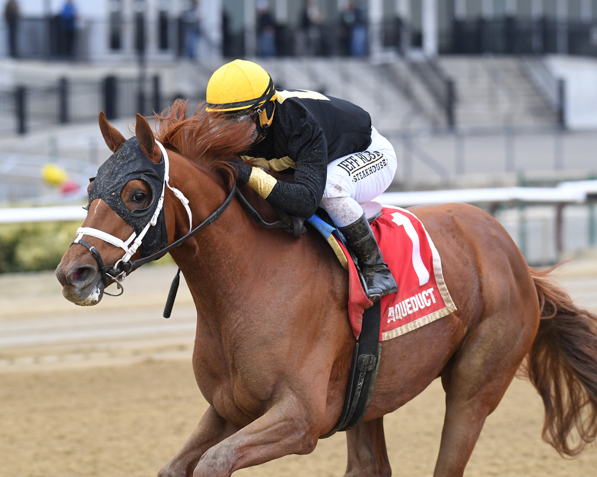 Drum Roll Please Penciled In For Next Month's Withers - Paulick Report ...