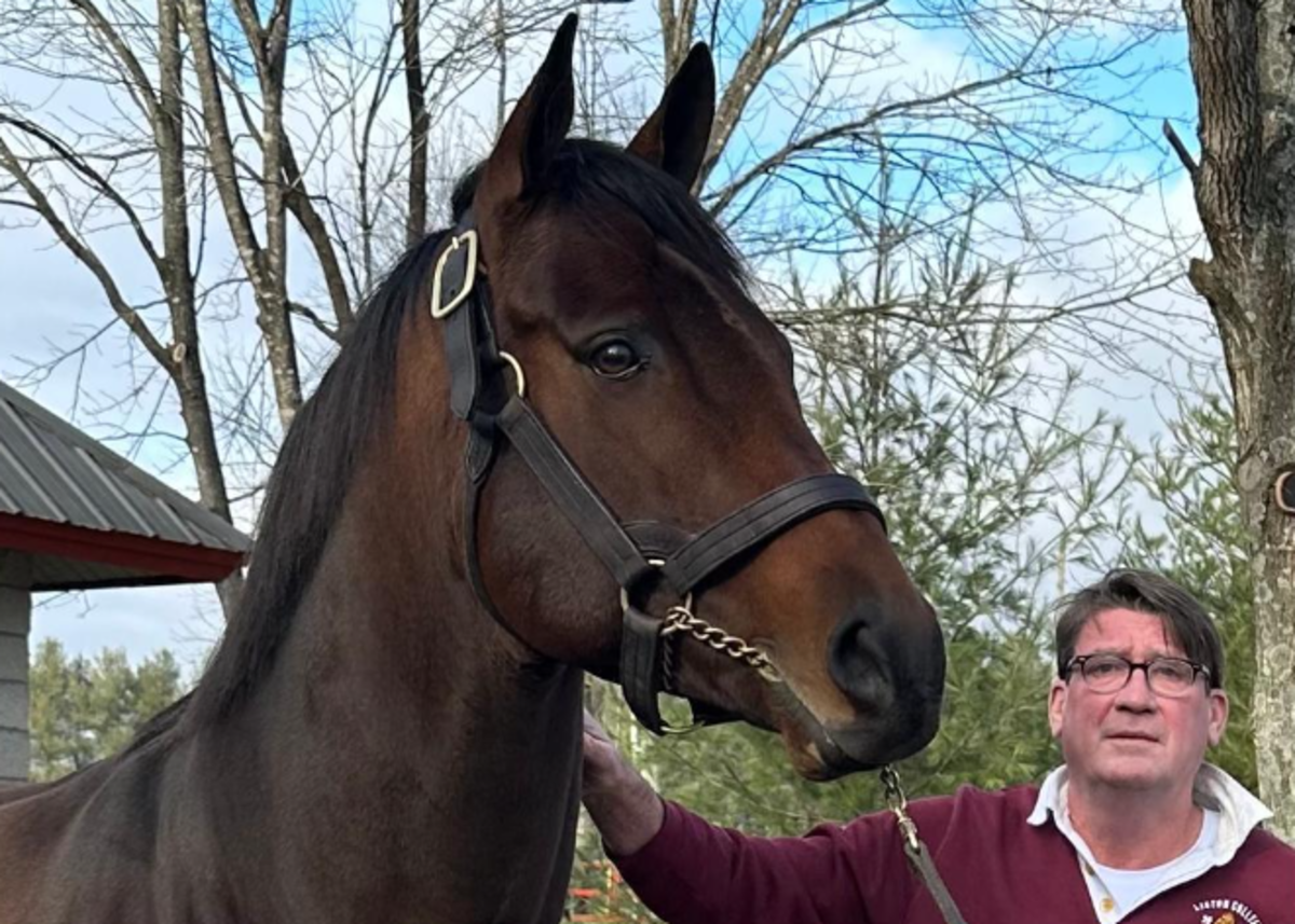 Nearly-Extinct Bird Helps Save Stud Career Of Preakness Winner Early ...