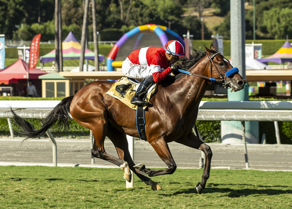 Freshened Kings River Knight Leads Field Of 10 In Unusual Heat Turf ...