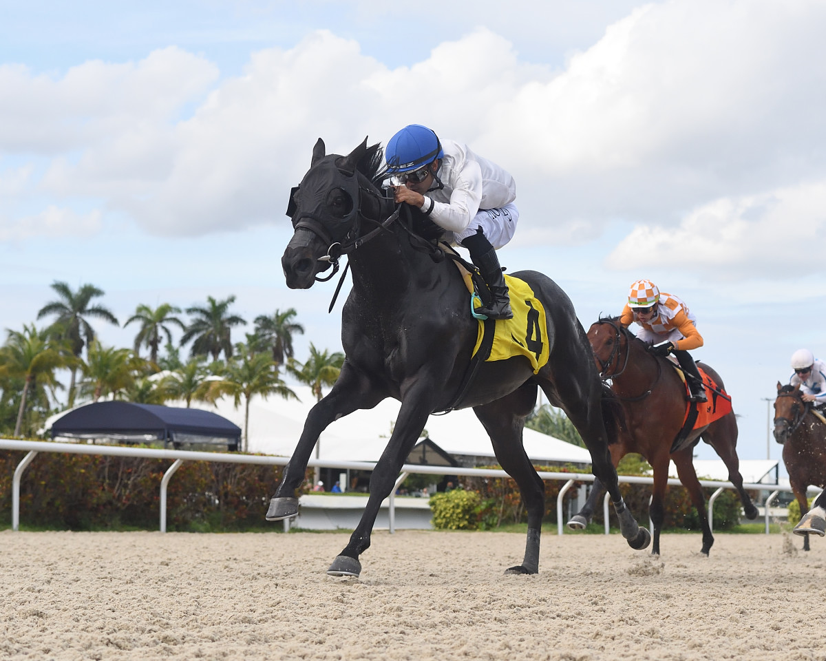 'He Has The Tenacity': Silent Heart Inspires Memories Of His Sire ...