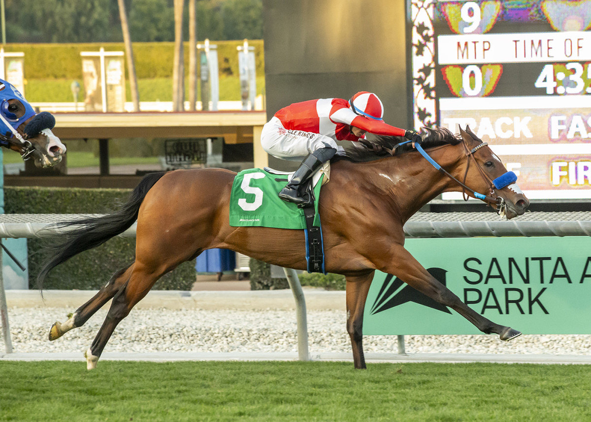 Kings River Knight Romps Gate To Wire To Take Unusual Heat Turf Classic ...