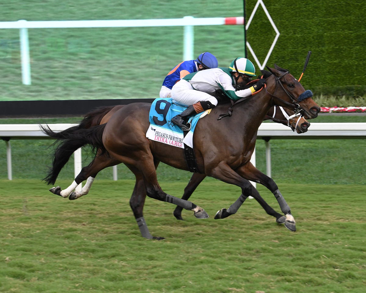 Didia Delivers Big Performance In Pegasus F&M Turf - Paulick Report ...