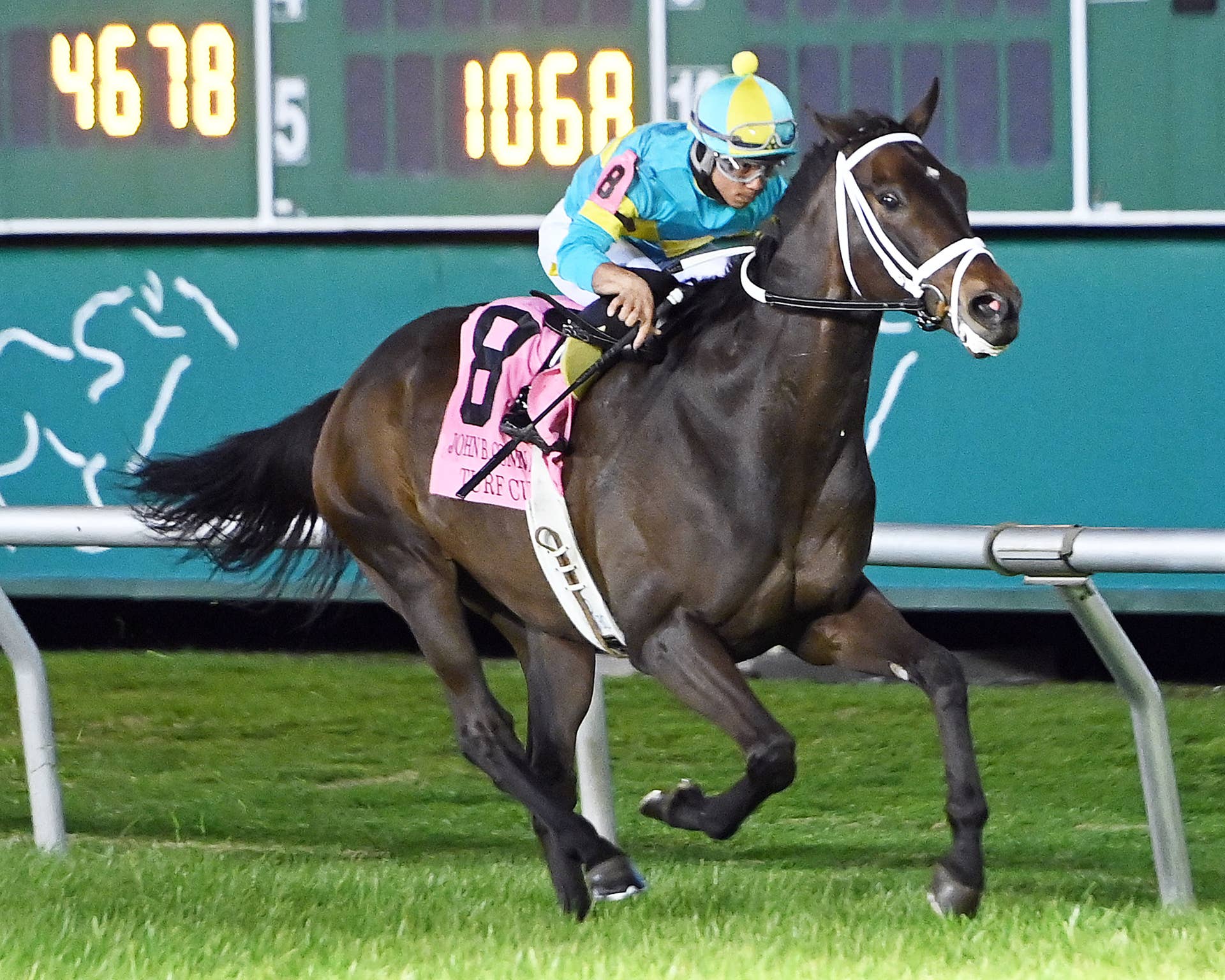 Dynadrive Drives Clear To Connally Turf Cup Win - Paulick Report ...