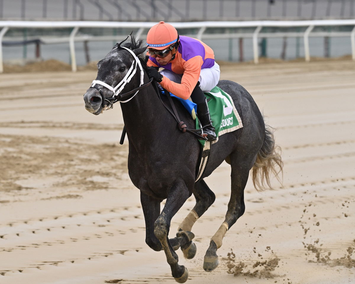 Road To The Kentucky Derby: Bergen Leads Four Brad Cox Entrants In ...