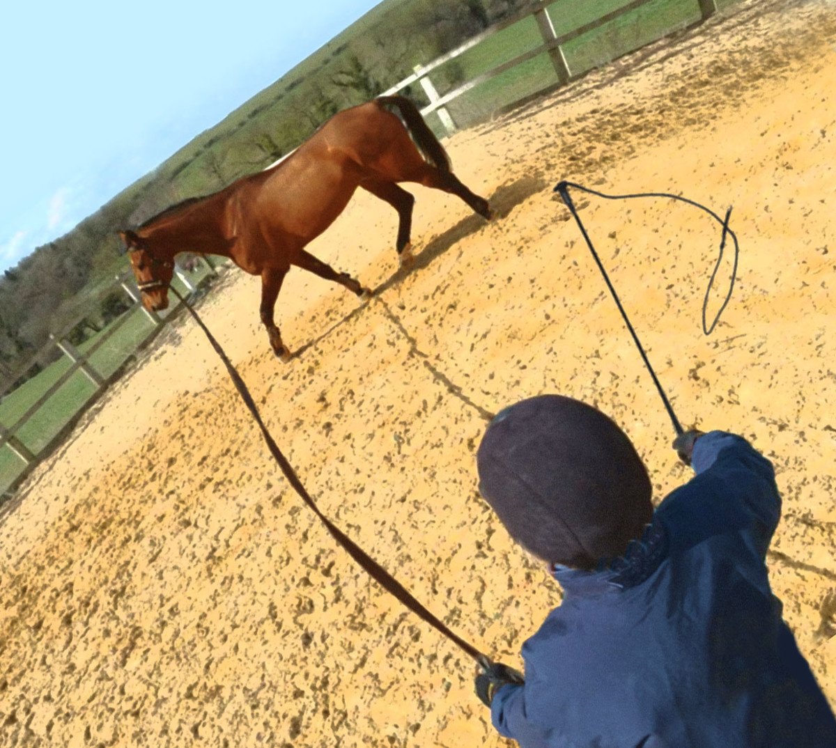 OTTB Training Toolkit Presented by Doc Lane's Veterinary Pharmacy ...