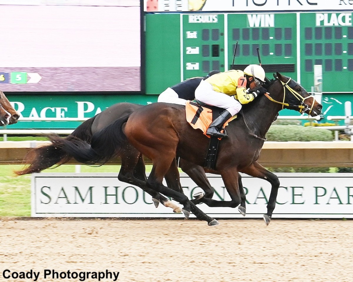 Lucky Appeal Is First Winner For Louisiana Stallion Breaking Lucky ...