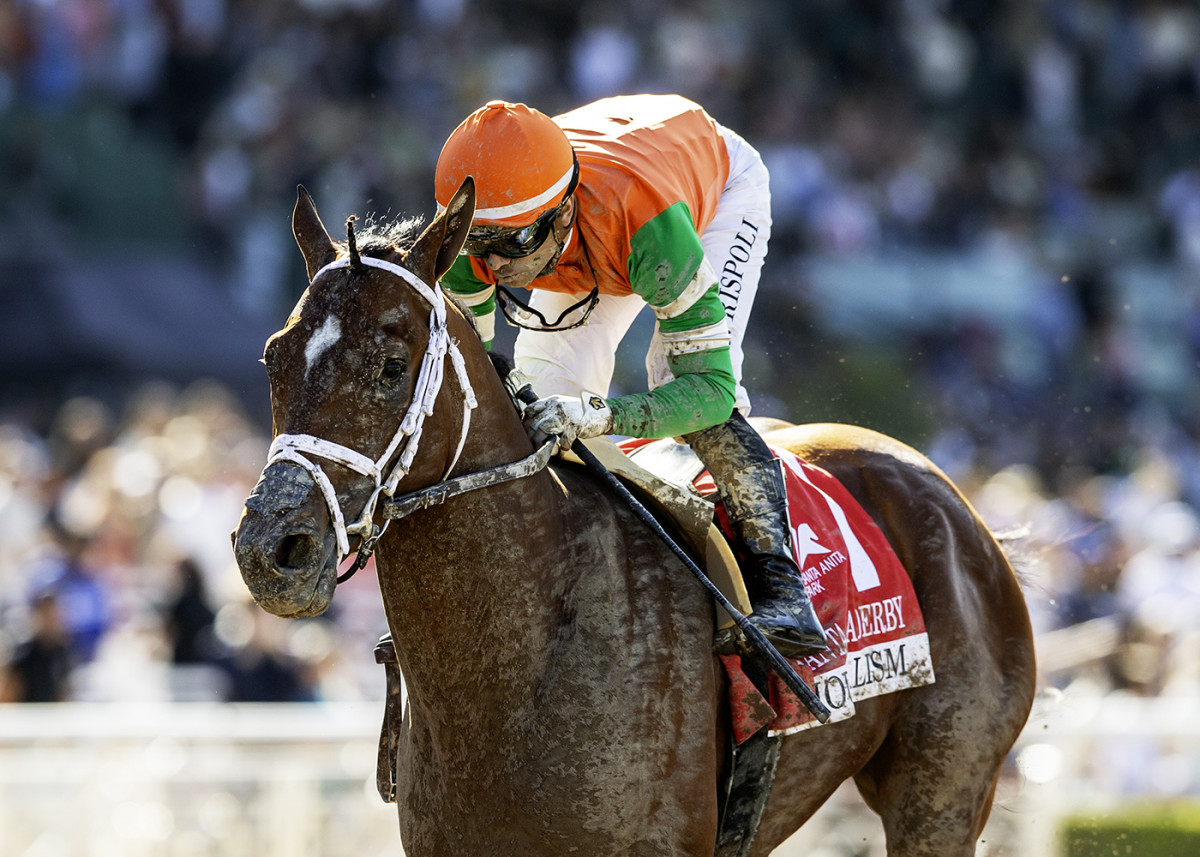 Kentucky Derby Pedigree Corner Presented By Zycosan: American Promise ...