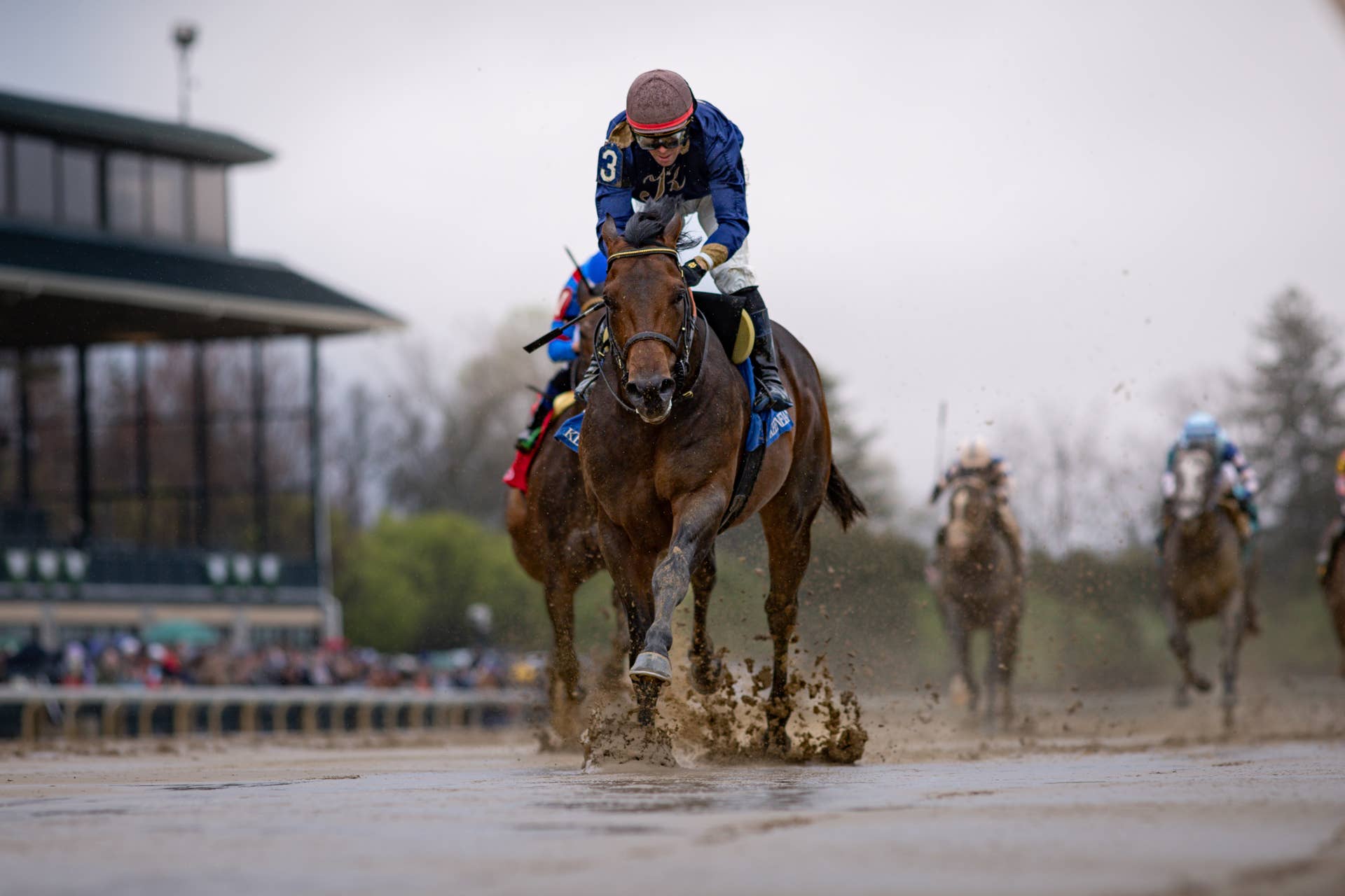 Recent Stakes Winner Normandy Coast Tops Keeneland April Selected ...