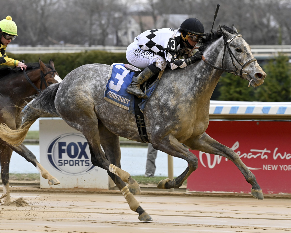 Equibase Analysis: Sterling Silver Could Shine In Ruffian Stakes ...