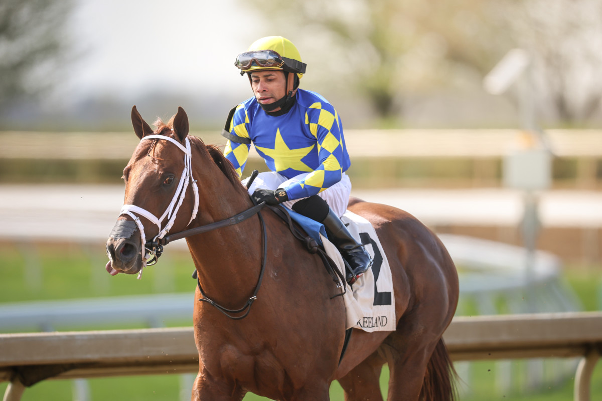 Colloquial Repels Rivals For Frontrunning Lafayette Victory - Paulick ...