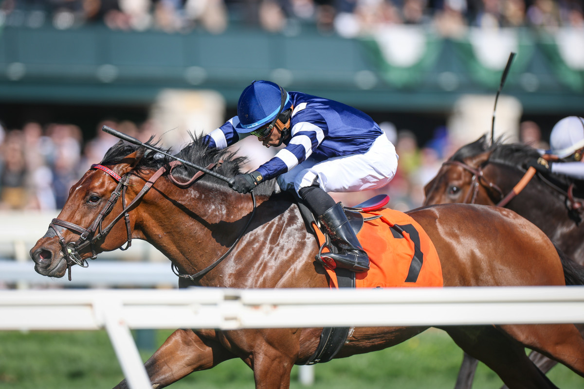 Test Score To Meet Pair Of Kentucky Derby Runners In Belmont Derby ...