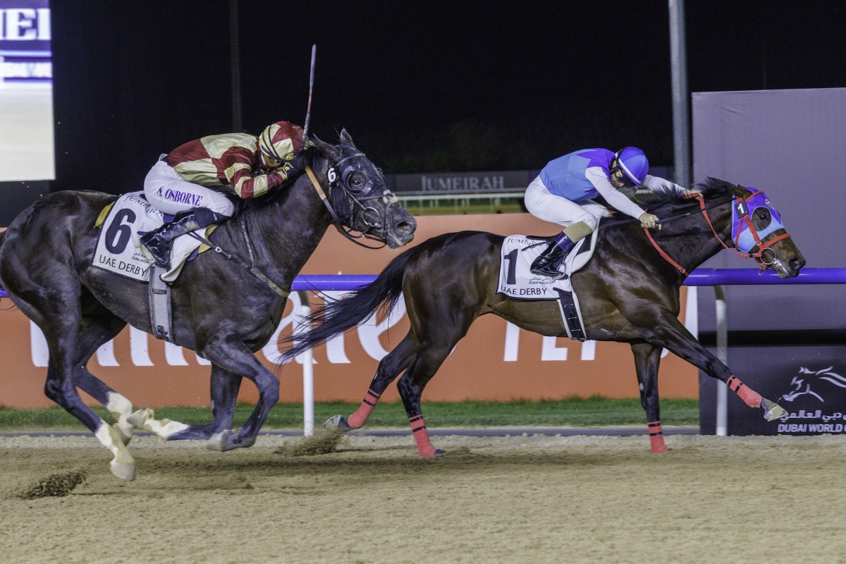 UAE Derby Runner-Up Heart Of Honor Could Point To Preakness, Belmont ...