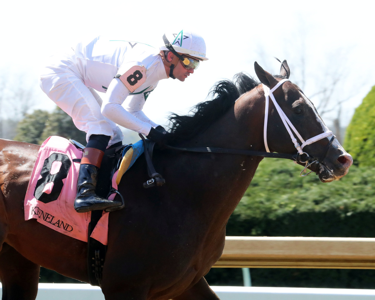 Invictus, Son Of Kentucky Oaks Winner Serengeti Empress, Breaks Maiden ...