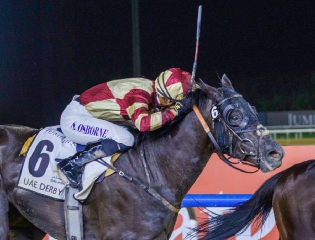 UAE Derby Runner-Up Heart Of Honor On Course For Preakness Run ...