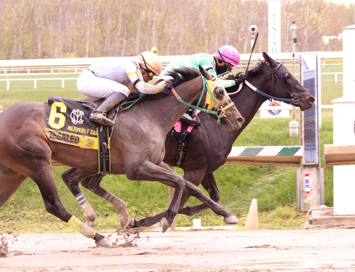 Laurel Park: Worcester Takes Frank Y. Whiteley With Last To First Rally ...