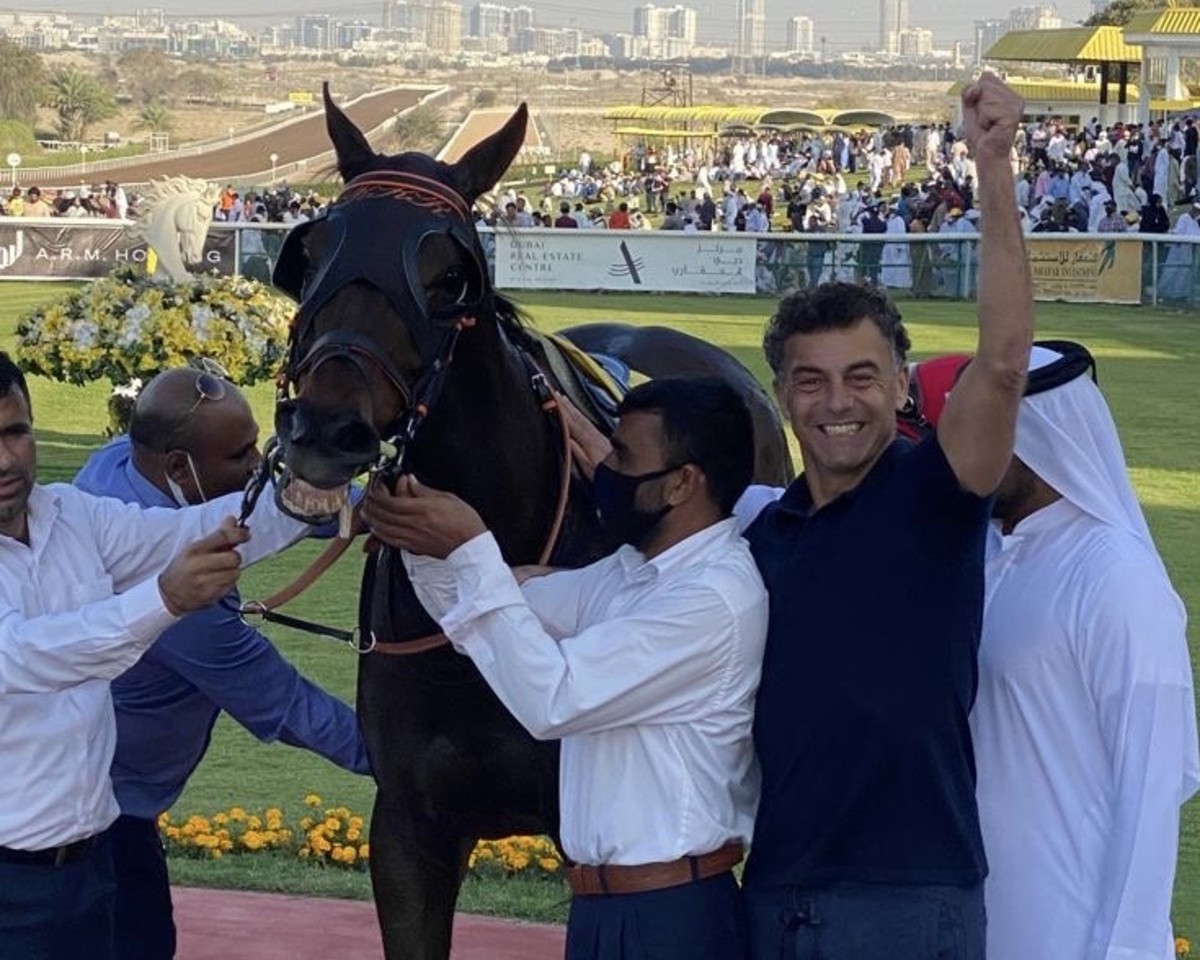 Graded Winner Quip Will Begin Eventing Career After Withdrawal From UAE ...