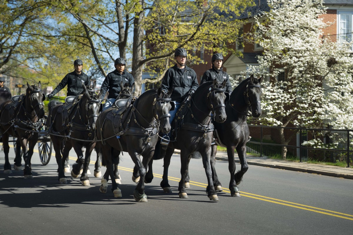 Army Caisson Embraces 'Horse-First Philosophy' In Preparation To Resume ...