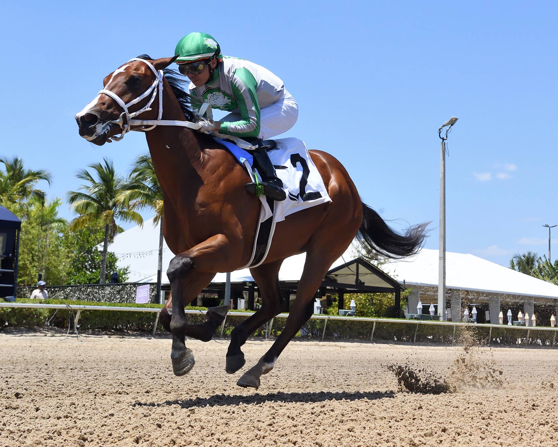 Second Leg Of Florida Sire Stakes Series Attracts Full Fields, New ...