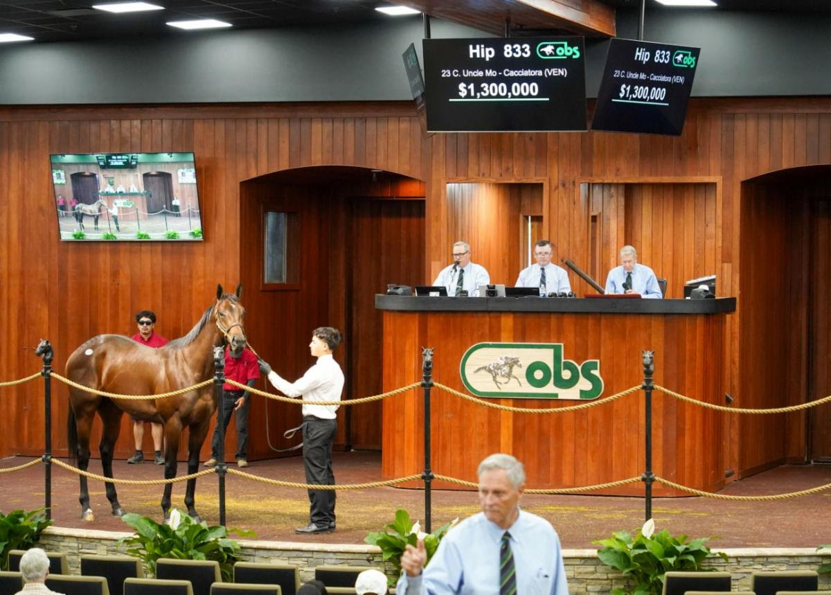 Uncle Mo Colt Brings $1.3 Million To Highlight Day 3 Of OBS Spring Sale ...