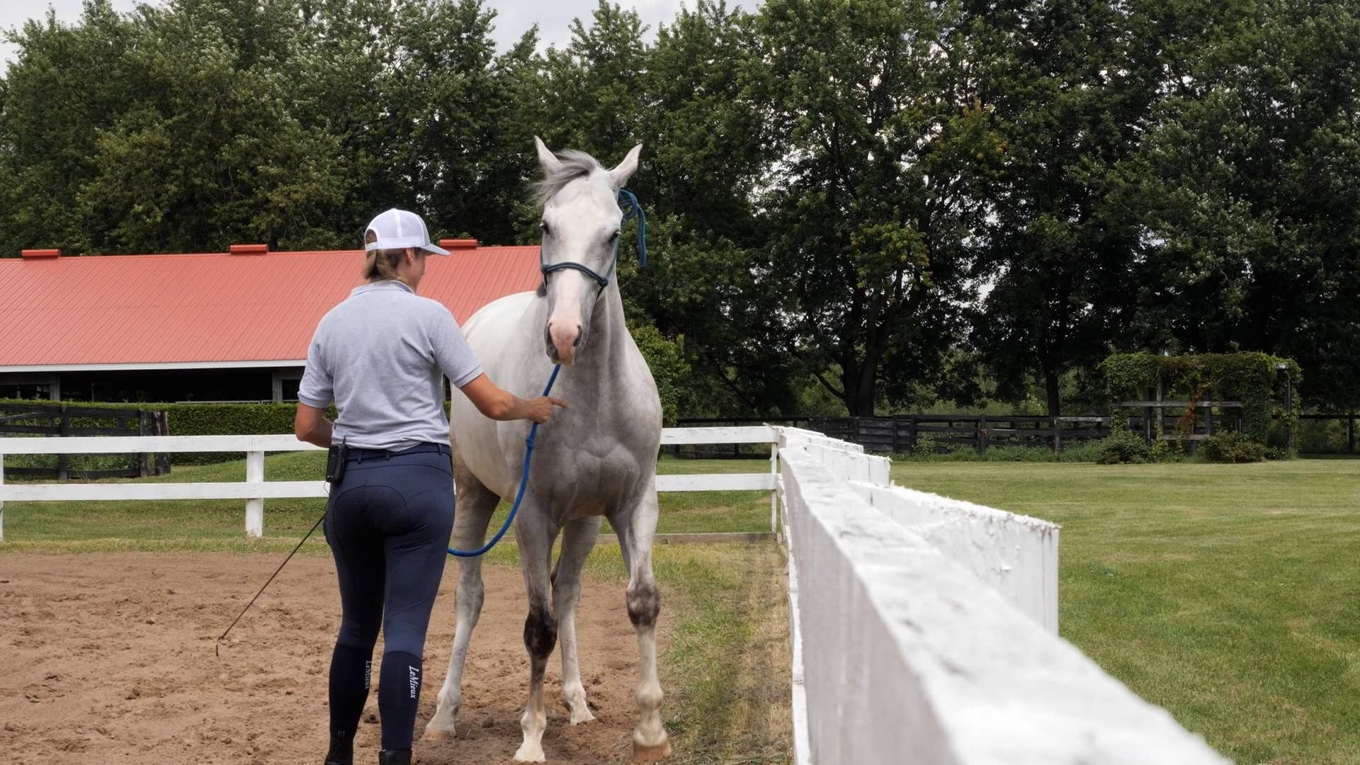 Getting Started: Groundwork And Manners For The Ex-Racehorse - Paulick ...