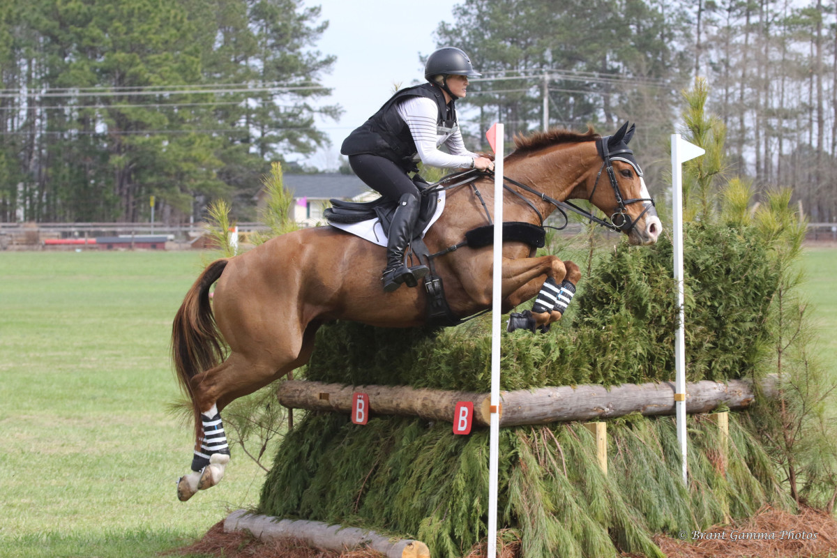 'It Just Takes One': Thoroughbreds Are Career-Makers For These Top ...