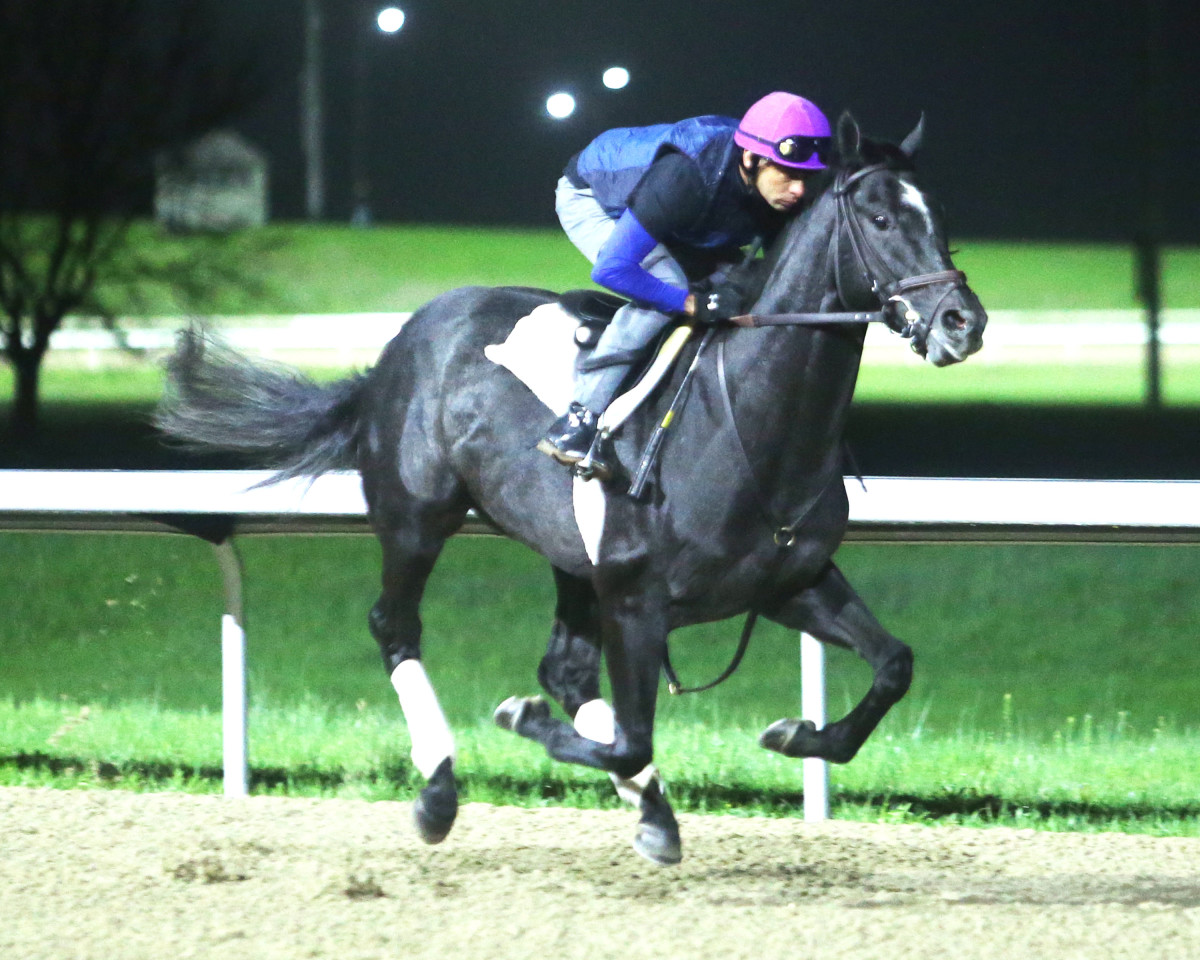 Kentucky Derby Underdogs Presented By Zycosan: Chunk Of Gold Ready To ...