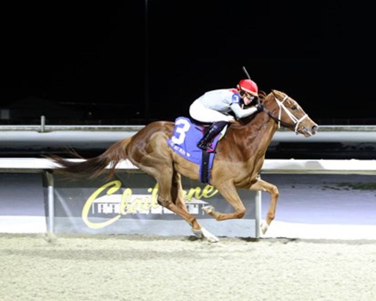 Kelsey Danner Saddles Two In Opening Day's Woodbine Oaks Prep - Paulick ...
