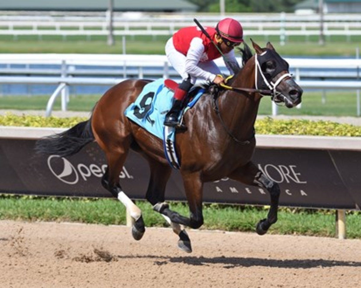 Kentucky Derby Pedigree Corner Presented By Zycosan: Citizen Bull ...