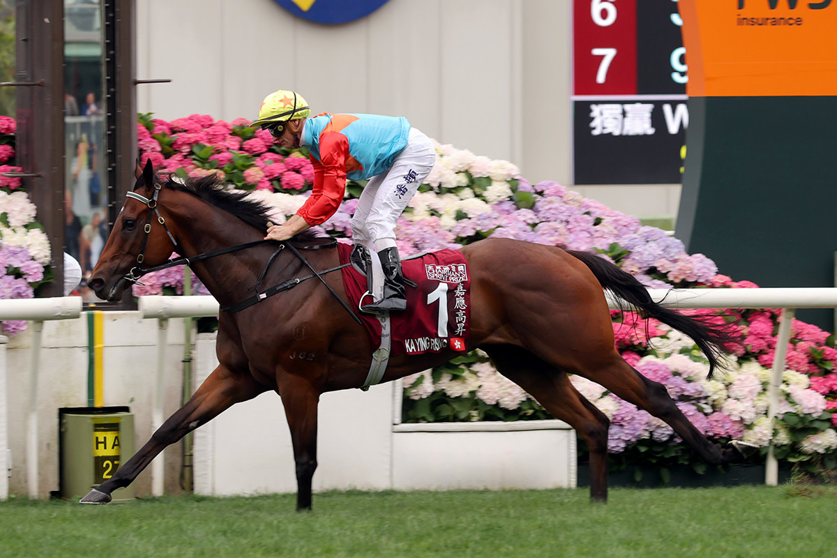 Sprint Star Ka Ying Rising Caps Perfect Season In Chairman's Sprint ...