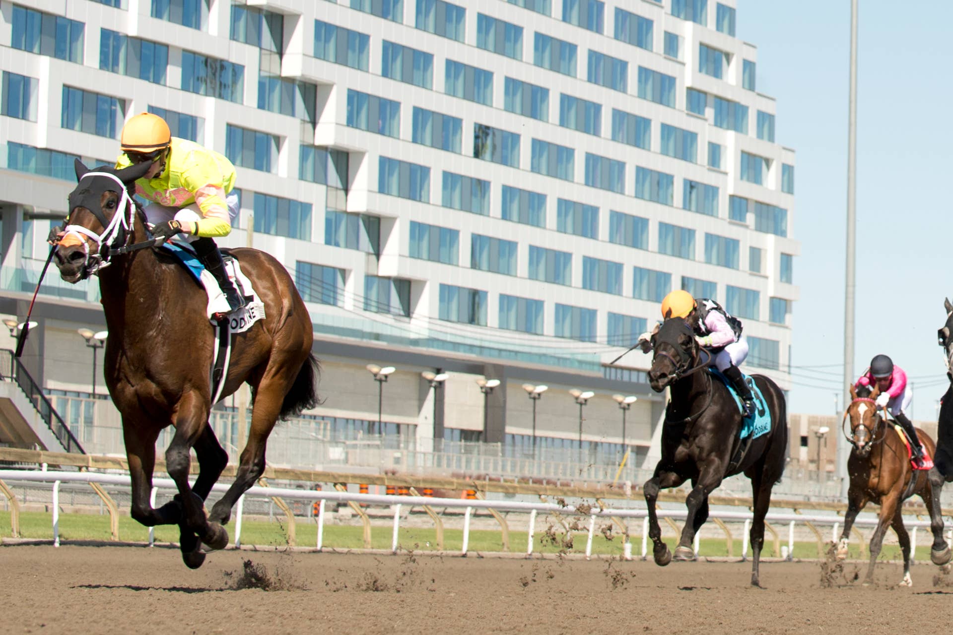 Mansetti Rolls To Woodstock Win, Stamps Himself Horse To Watch For King ...