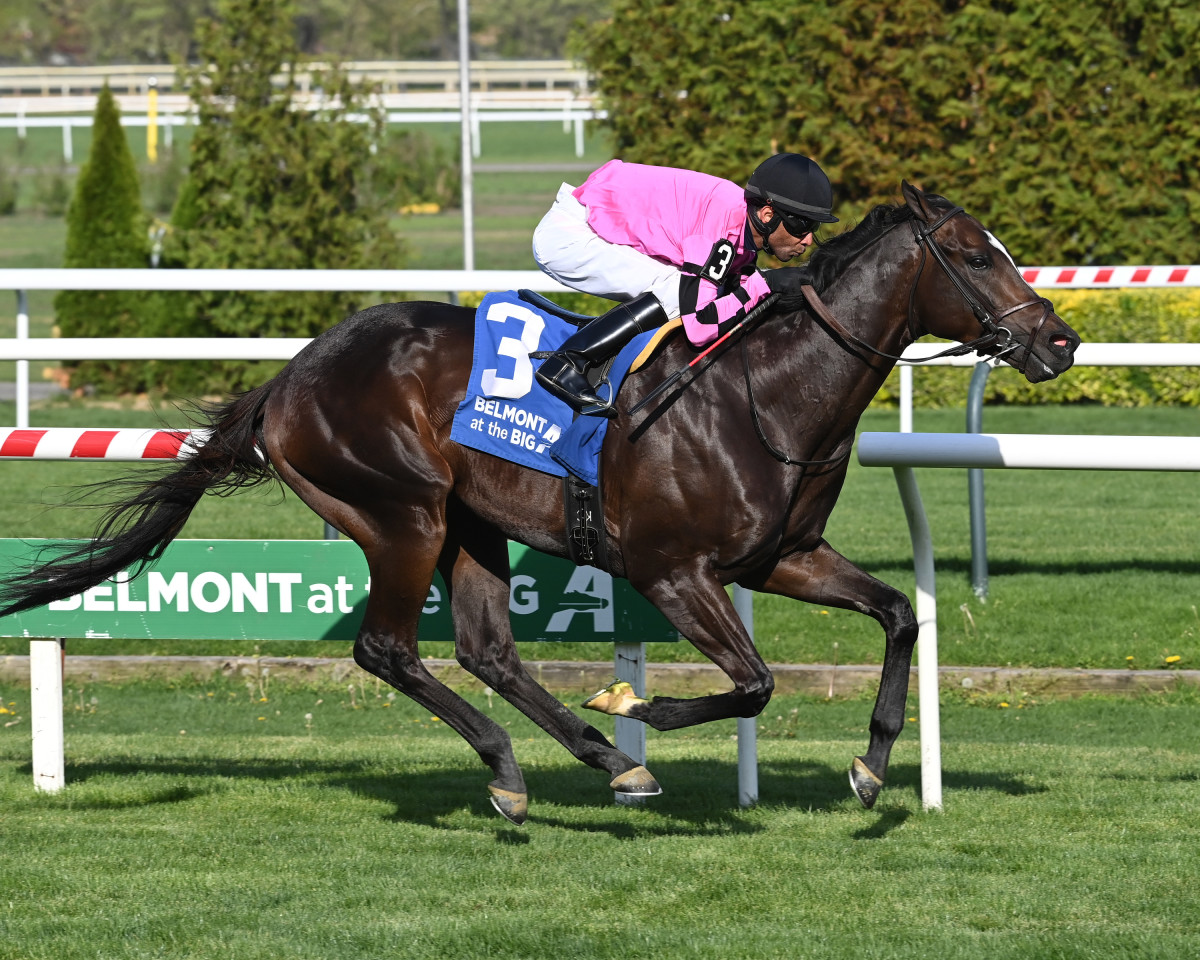 Deterministic Zips Gate To Wire In Fort Marcy In Course Record Time ...