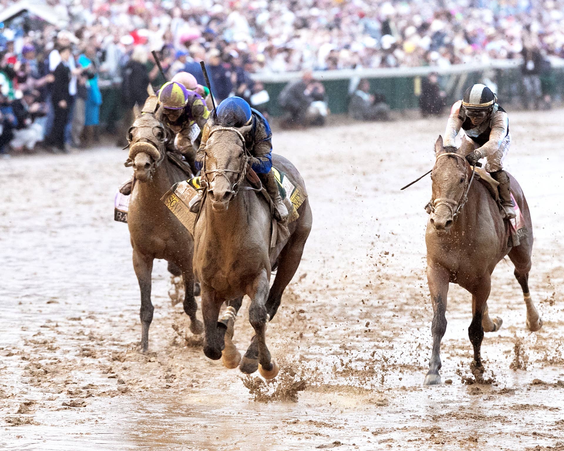 'A Little More Aggressive': Sovereignty Breezes At The Spa, Bill Mott ...