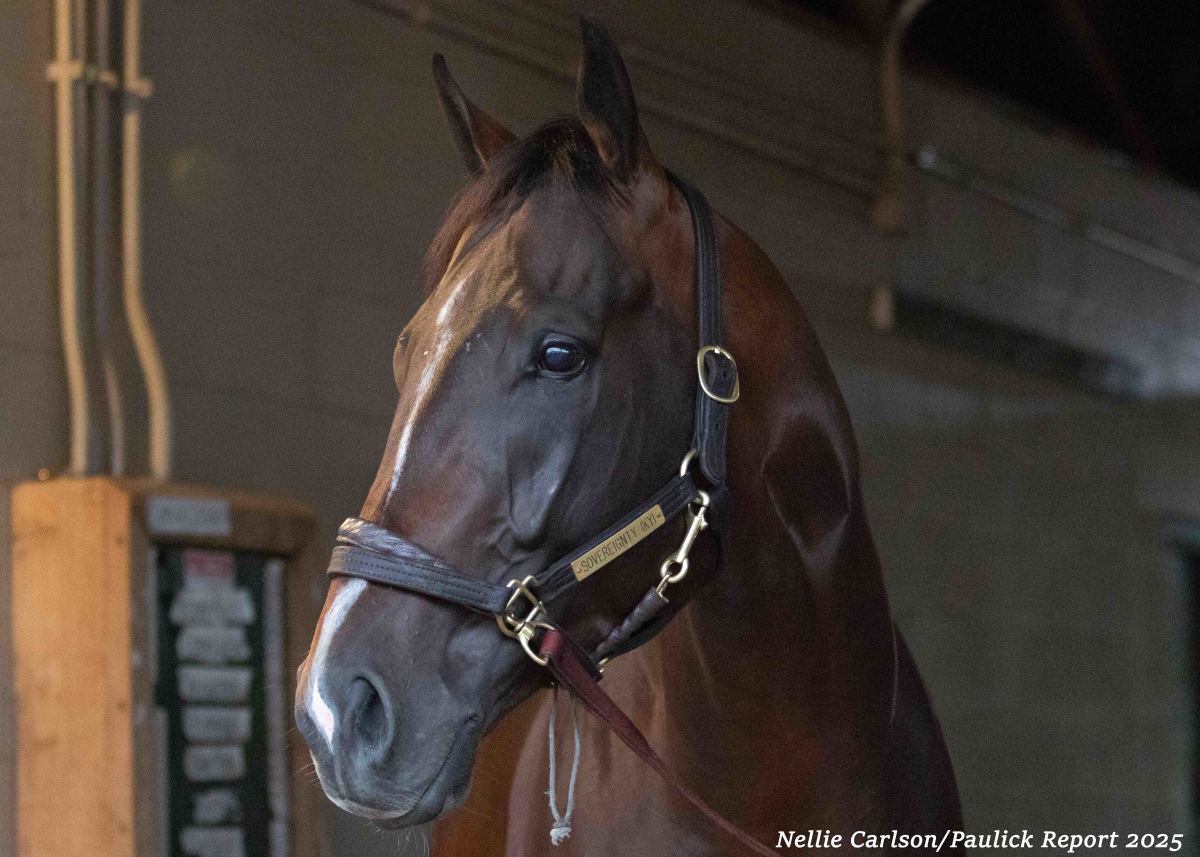Kentucky Derby Winner Sovereignty 'Came Off The Van Like A Tiger' In ...