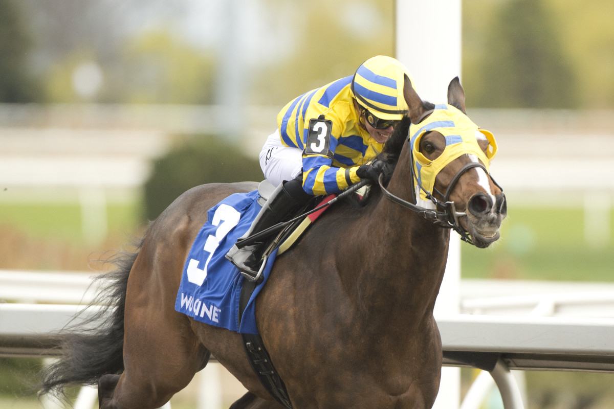Patches O’Houlihan Blitzes Woodbine Track Record In Thorncliffe ...