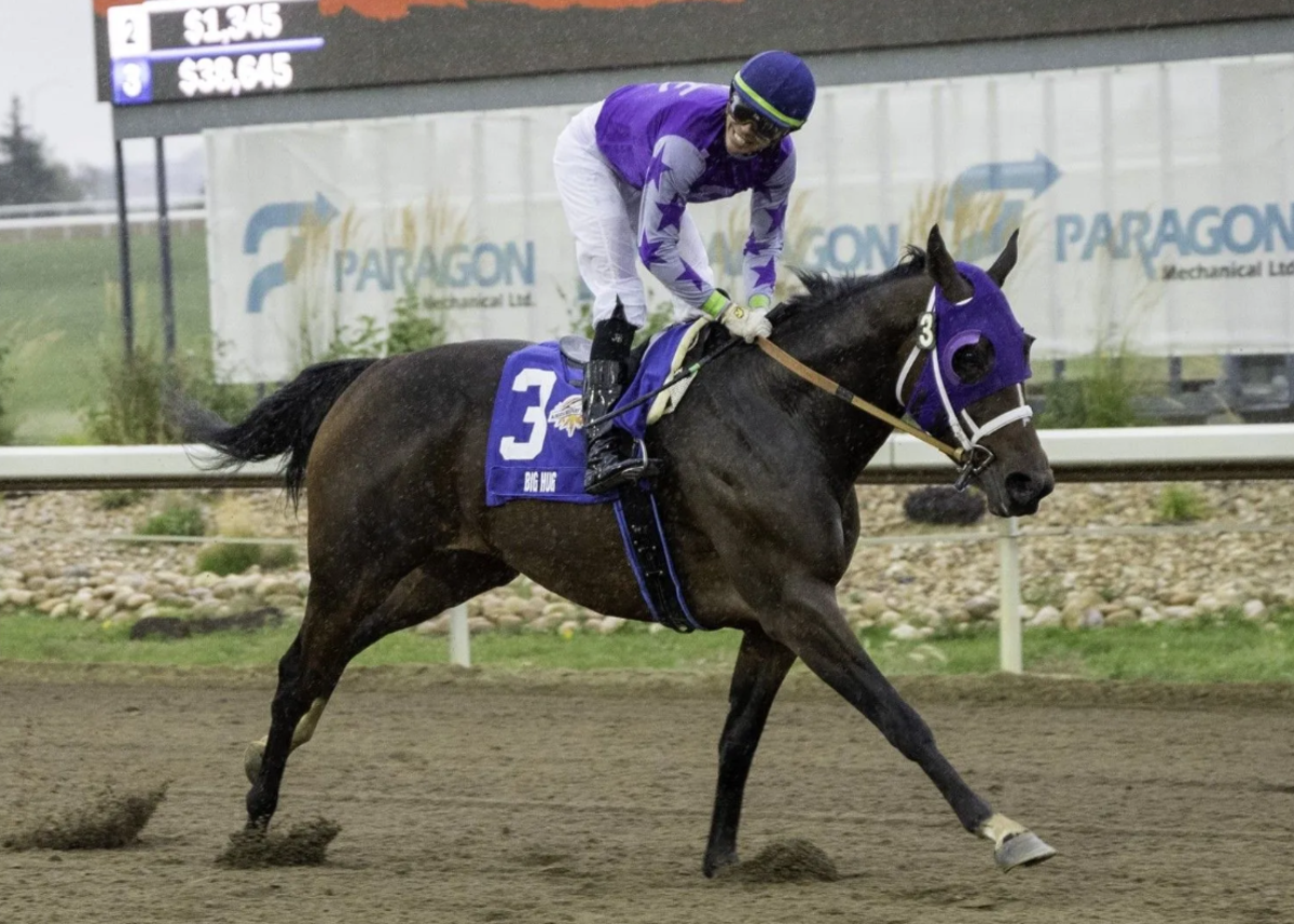 $2,700 Bargain Buy Big Hug Honored As Alberta's Horse Of The Year ...