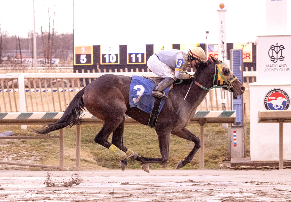 Half Sister To Kentucky Oaks Runner-Up Entered In Inglis Digital USA May Sale - Paulick Report ...