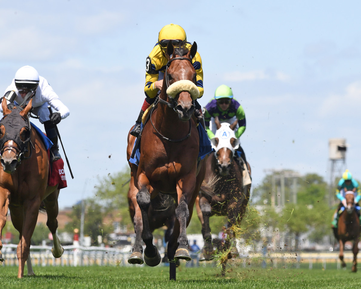 Favorite Far Bridge Scores Easy Win In Man O' War - Paulick Report ...
